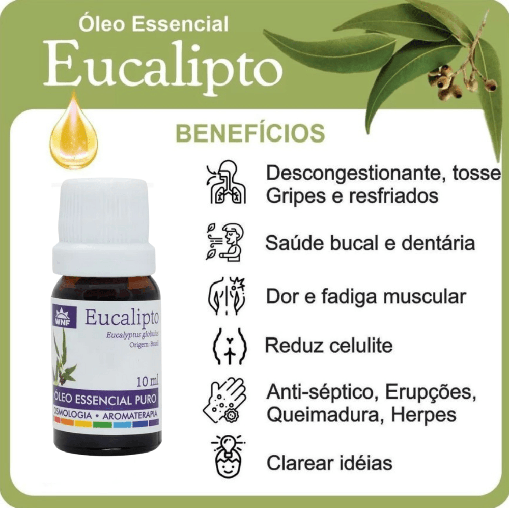 Óleo Essencial De Eucalipto Glóbulus Da Wnf Use Orgânico Use Orgânico